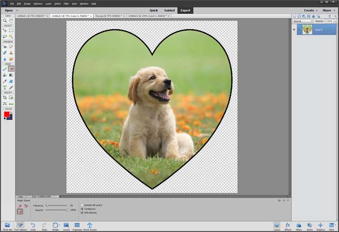 Crop a Picture to a Shape in Photoshop Elements - Online Computer Tips