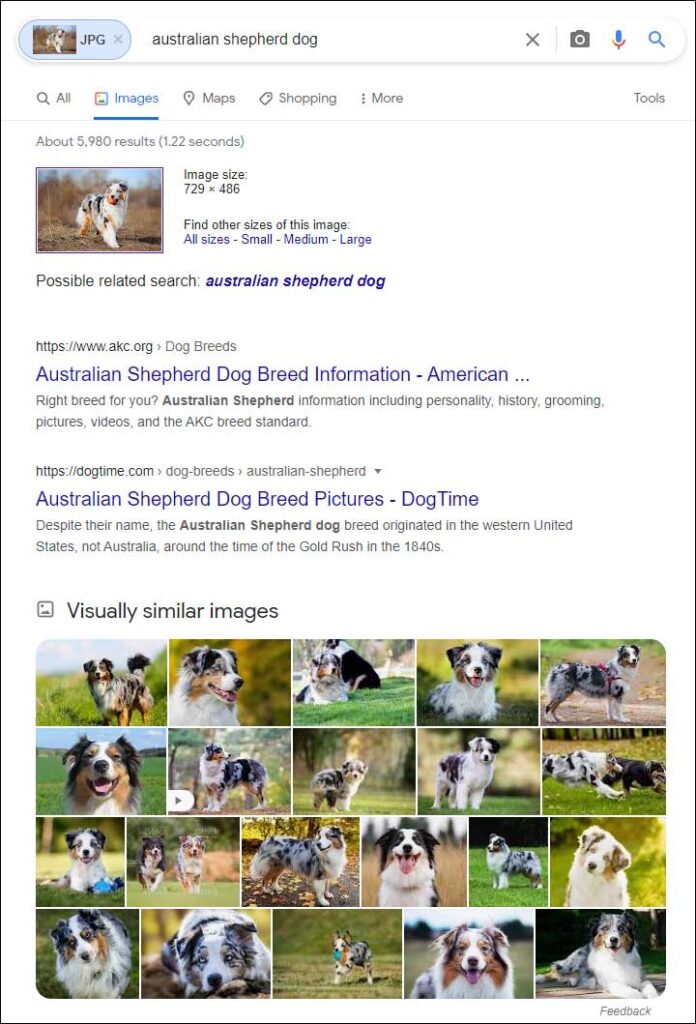 How to Get Around the Search image with Google Lens Feature in Chrome