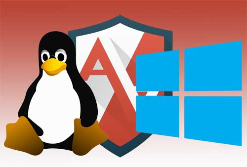 AppArmor and HTTPS on Ubuntu 18.04 and Windows 2019 - Online Computer Tips