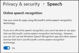 How to Setup Your Computer for Speech to Text Dictation (Voice Typing)