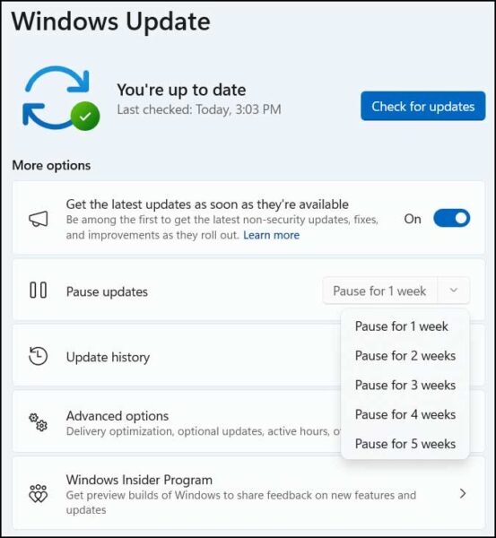 Pause Windows Updates Longer Than 5 Weeks (Up to 20 Years) - Online ...