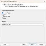 Install the Debloated Windows 11 IoT Enterprise LTSC as a Virtual Machine
