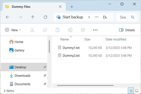 2 Ways To Create Dummy Test Files On Your Pc Online Computer Tips