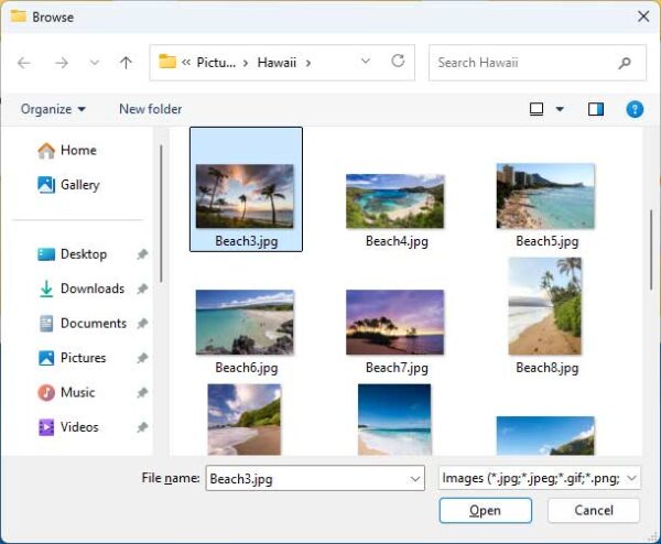Make Folders with Photos and Other Types of Files Show Pictures for ...