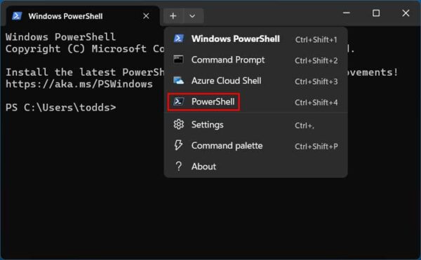 How to Check your PowerShell Version and Upgrade it if Needed - Online ...