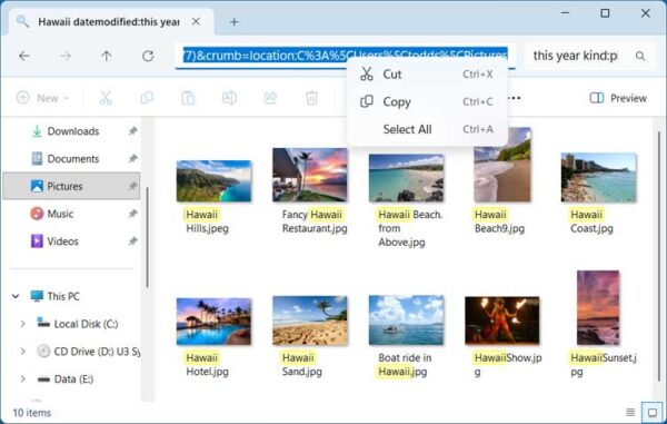 Save Time by Saving File Explorer Searches to Reuse in Windows - Online ...